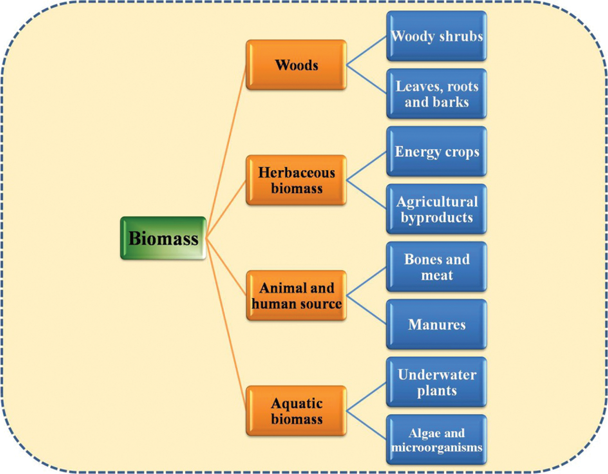Advances in the Structural Composition of Biomass: Fundamental and ...