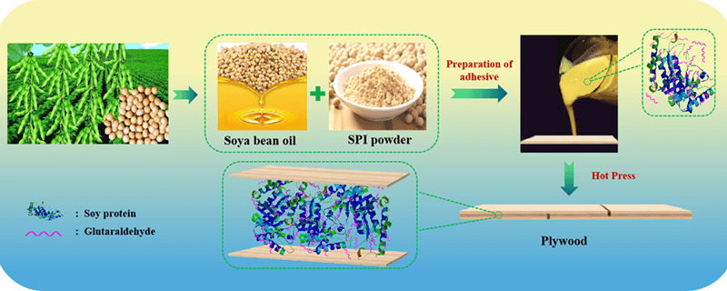 Journal of Renewable Materials | MALDI ToF Investigation of the ...