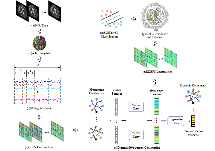 CMES | Free Full-Text | Brain Functional Networks with Dynamic Hypergraph Manifold ...