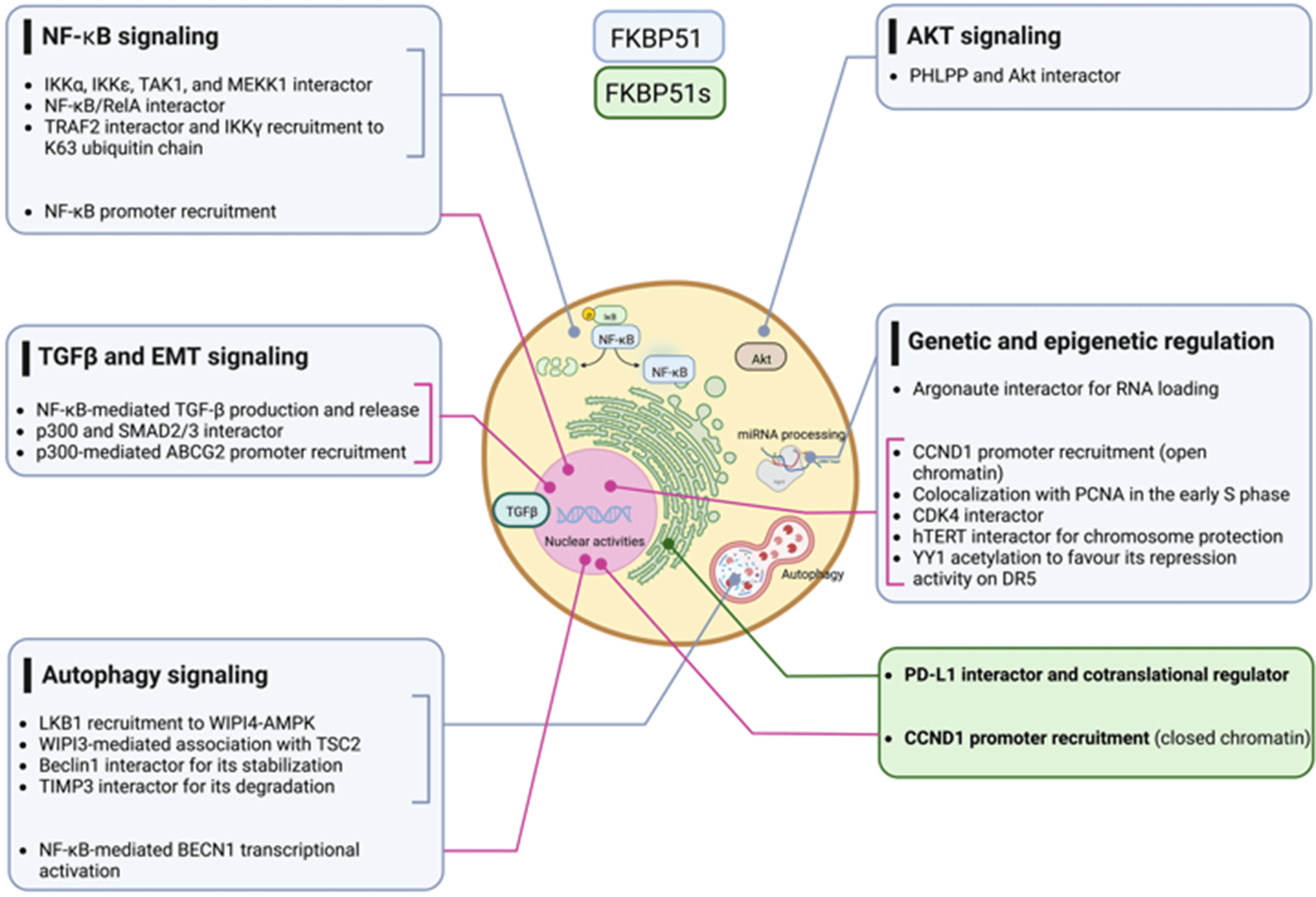 OR | Free Full-Text | Scaffold proteins of cancer signaling networks ...